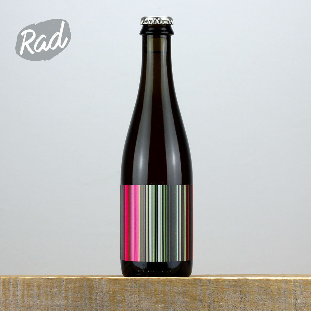 To Øl Sorbet! Limoncello Inspired Ale – RAD Beer